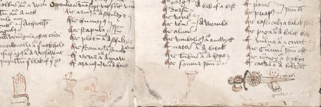 The Humanity of Manuscripts – Just History Posts
