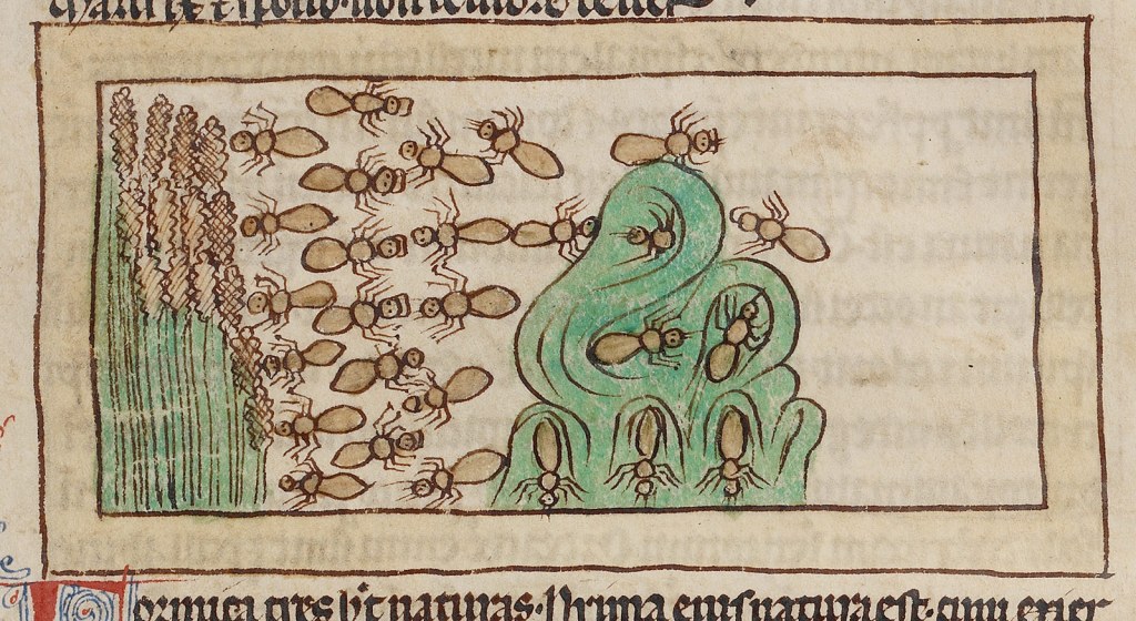 An Interview With: Tess Wingard – Medieval Sexuality and Animals – Just ...