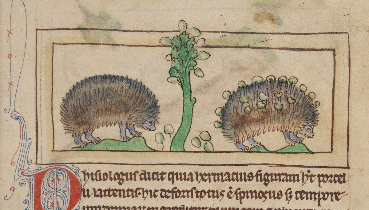 An Interview With: Tess Wingard – Medieval Sexuality and Animals – Just ...