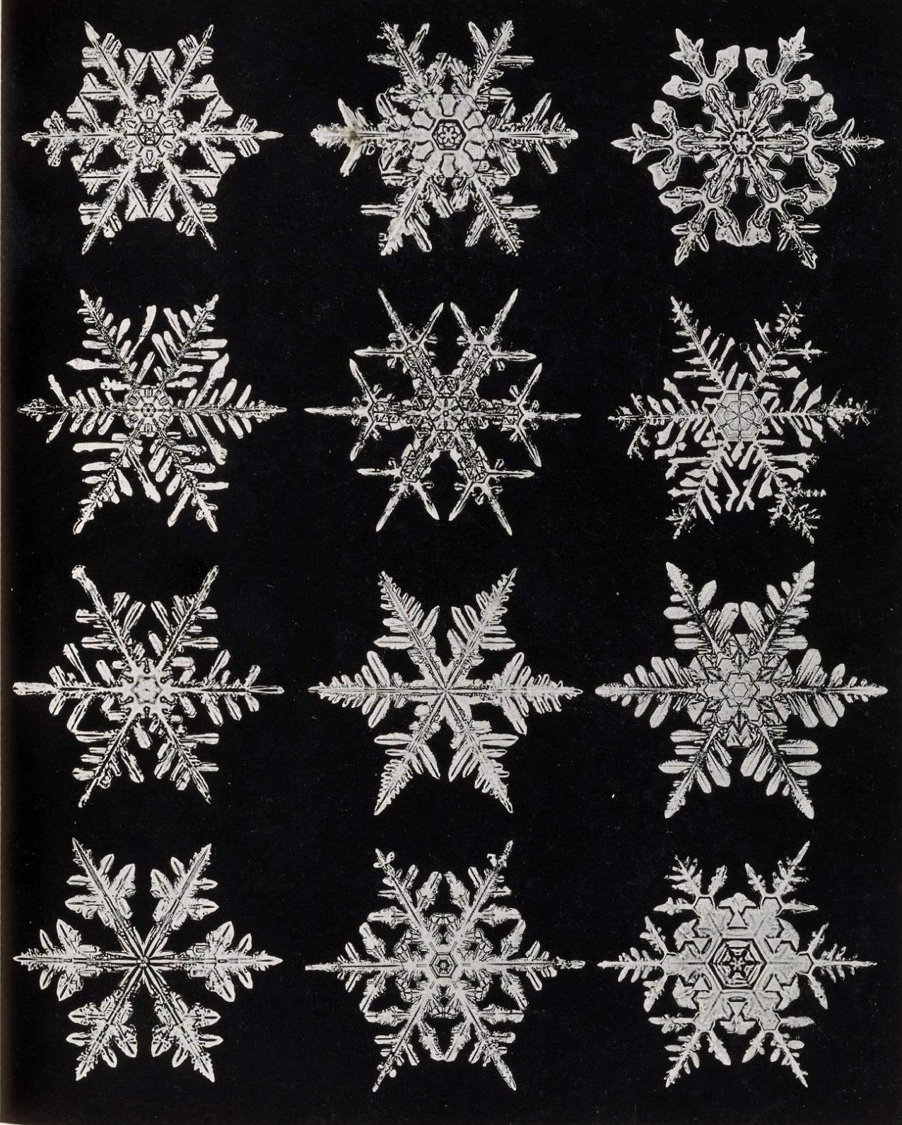 Historical Figures: Wilson Bentley, The Man Who Photographed Snowflakes ...