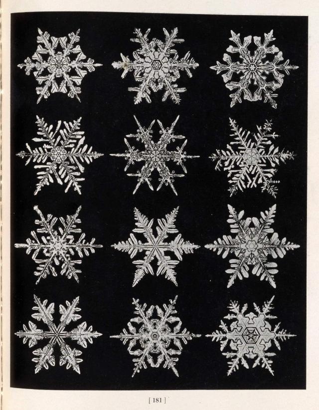 Historical Figures: Wilson Bentley, The Man Who Photographed Snowflakes ...
