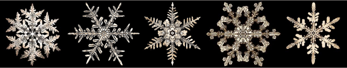 Historical Figures: Wilson Bentley, The Man Who Photographed Snowflakes ...