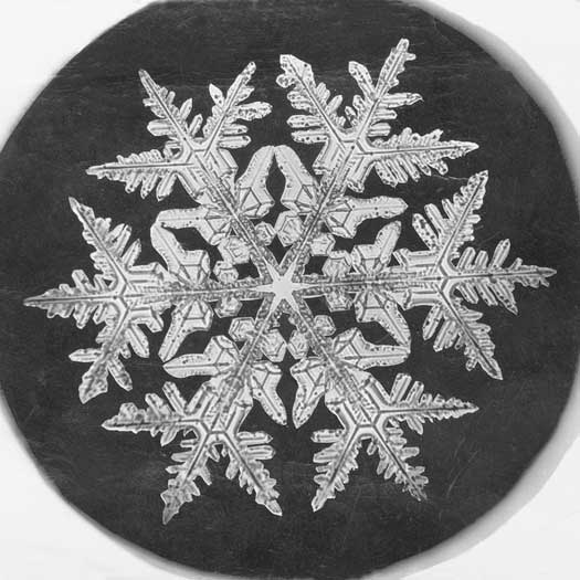 Historical Figures: Wilson Bentley, The Man Who Photographed Snowflakes ...